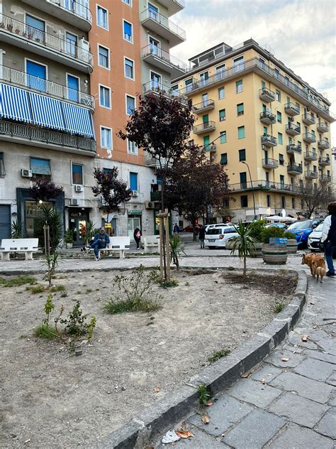 Img Wa La Scuola Fa Notizia