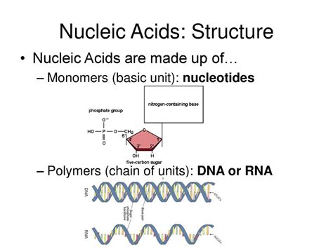 Macromolecules Ppt Download