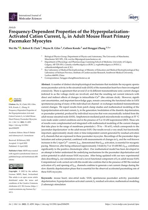Pdf Frequency Dependent Properties Of The Hyperpolarization Activated Cation Current If In