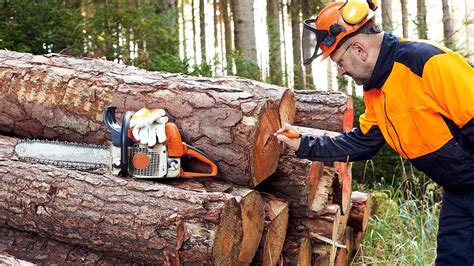 Why Nations Must Improve Timber Traceability Systems