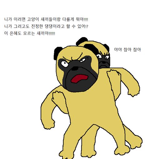 퍼그 형제가 생일날 개빡친 만화 짤툰