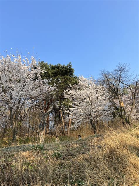 수원 광교 호수 공원 산책 및 프라이부르크 전망대 네이트뷰