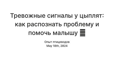 Тревожные сигналы у цыплят как распознать проблему и помочь малышу 🐣 — Teletype