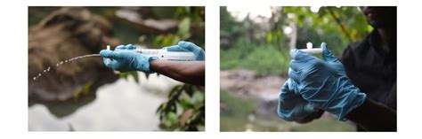 A Practical Guide To Dna Based Methods For Biodiversity Assessments