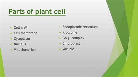 Assignment Cell Biology Pptx