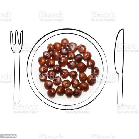 말 밤 귀여운 낙서 손으로 그린 요소와 흰색 배경에 고립 나이프와 포크는 접시입니다 최고의 볼 수 있습니다 창의적인 현대