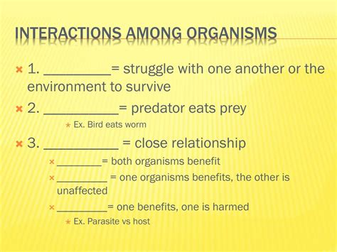 Ppt Interactions Among Organismsadaptations Powerpoint Presentation