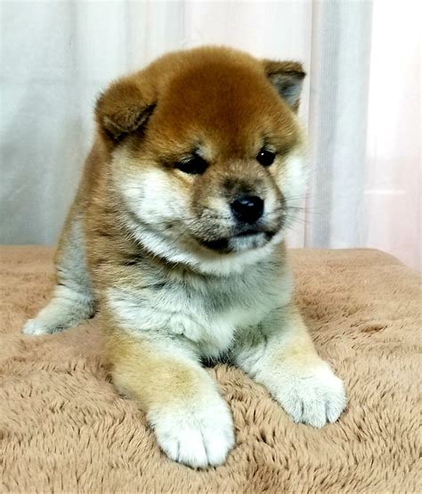 灘の美咲荘
