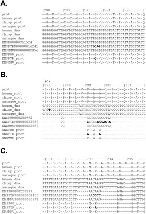 The Difficulty Of Avoiding False Positives In Genome Scans For Natural Selection