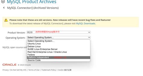 Driver Class Name Mysql Jdbc Driver Mysql