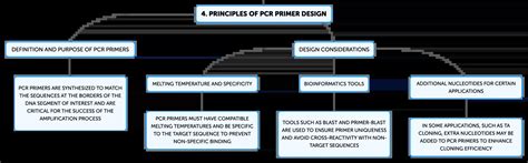 The Function And Importance Of Rna Primers In Dna Replication Algor Cards