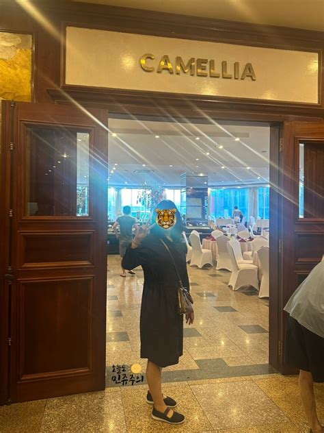 다낭 “무엉탄 송한 럭셔리 호텔 무엉탄호텔 다낭 한강 ” 조식뷔페 후기 네이버 블로그