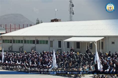 Ministry Of Interior Affairs Afghanistan On Twitter ۳۸۰تن از مجاهدین