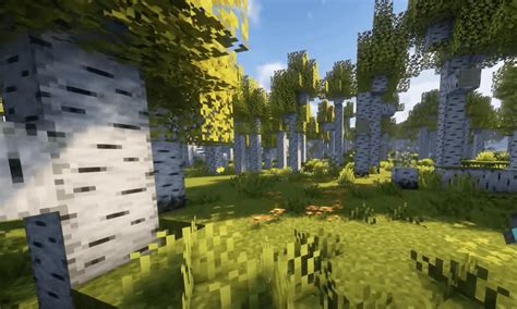 Minecraft Forest Shaders Ultra Hd 4k Far Render Shader Screenshots