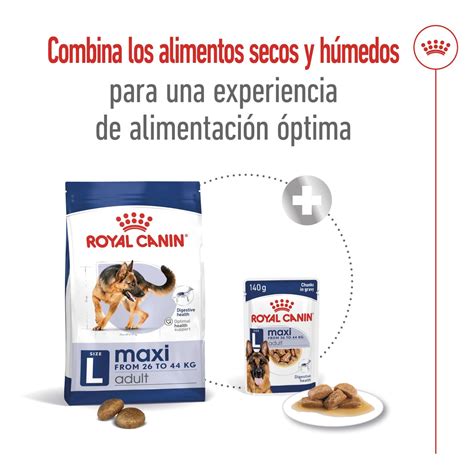 Maxi Adult | Royal Canin ES