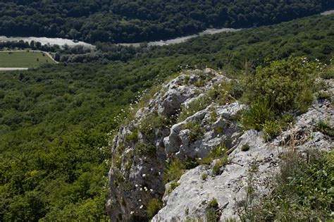 푸른 잔디에 회색 절벽이 있는 산 풍경과 여름 화창한 날 파노라마에 경사면과 강의 능선에 울창한 녹색 숲이 있는 녹색 계곡 위에