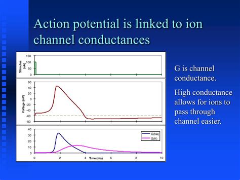 Ppt Computational Biology Part 20 Stochastic Modeling Neuronal