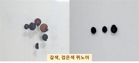 최초 유리병이유식 푸드케어 클레