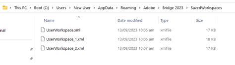 Solved How To Import Workspaces In Bridge From One Comput Adobe Community 14079898