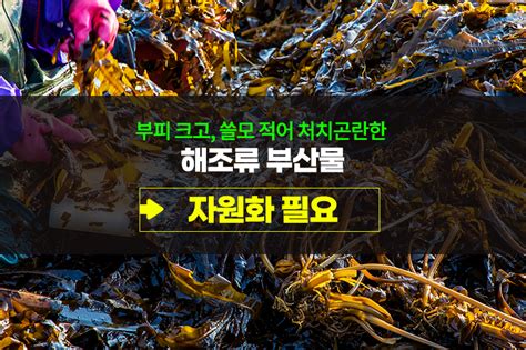 미역으로 만든 컵과 접시 환경을 위한 대체 플라스틱