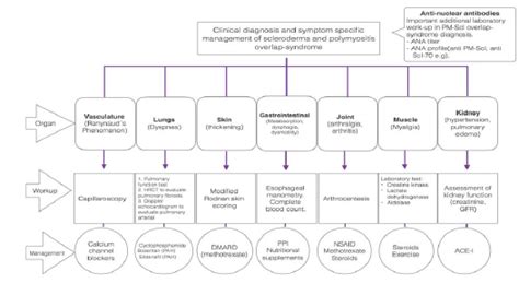 Clinical Aspects Of Overlap Syndrome Case Report And Literature Review