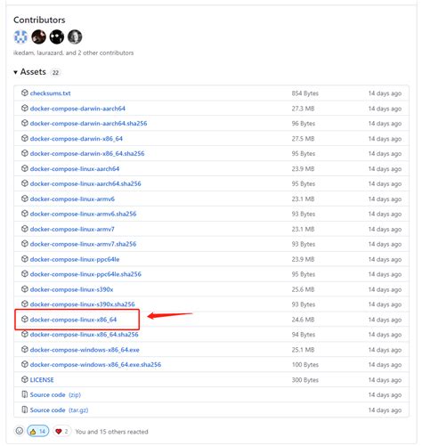 开源一夏 Docker Compose从入门到实践开源微枫micromapleinfoq写作社区