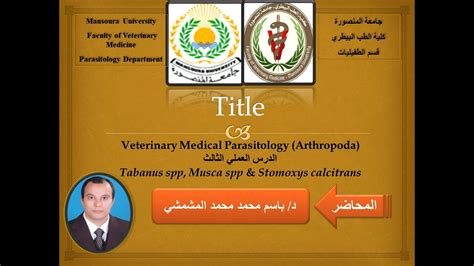 Practical Lesson 3Arthropoda 3 Dr Bassem Elmishmishy YouTube