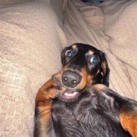 Solar Wing On Tumblr