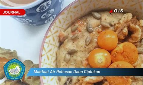 Ketahui Manfaat Air Rebusan Daun Ciplukan Yang Bikin Penasaran