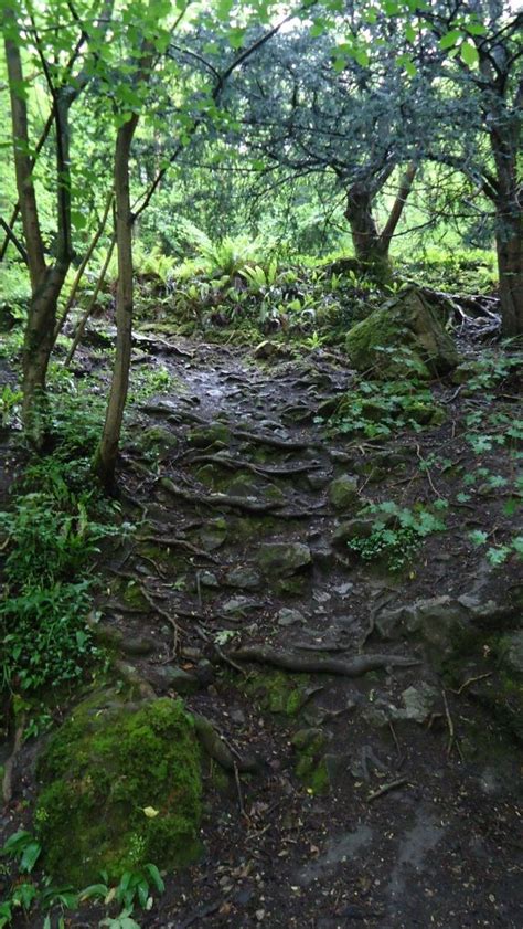 Diana Pak On Linkedin Bumpy Roads