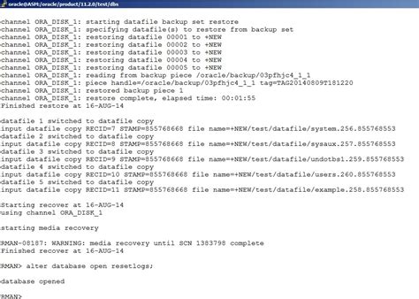 Restoring To A Different Asm Diskgroup