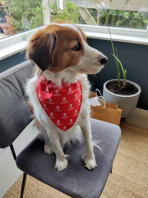 Seaql Saturday On Linkedin Sqlsaturday Learning Partners Callforsponsors