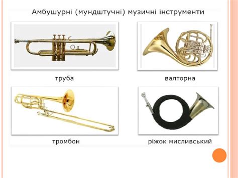 Духові музичні інструменти