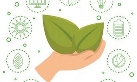 How Does Machine Learning Aid In Accelerating Ecological Research Aretove Technologies