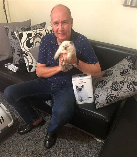 Kora Esta Bella Princesa Persa Himalaya Chocolate Place Se Encuentra En