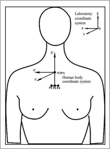 Definition Of Laboratory Coordinate System And Human Body Coordinate
