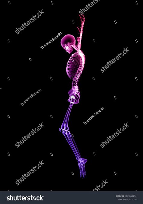 X Ray Human Body 3d Render Stock Illustration 1141863434 Shutterstock