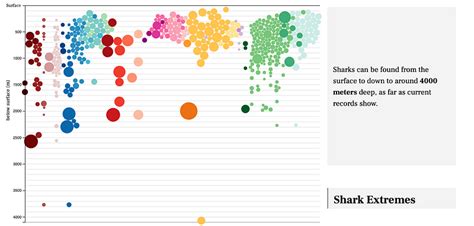 Meet The Community Julia Janicki Data Visualisation Designer