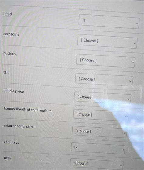 Match The Female Reproductive Structure In The Chegg Com