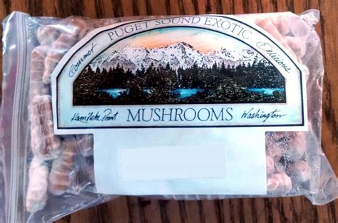 Mycelium Guide Nifty Homestead