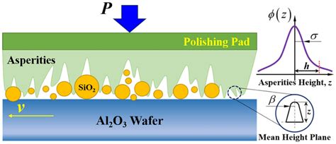Distribution Of The Pad Asperity Height Download Scientific Diagram