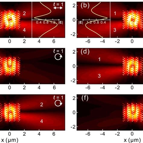 fdtd simulation results of the electric field distributions e on