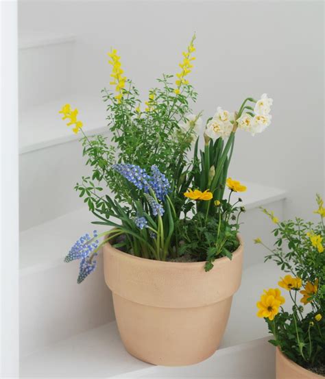 플로리스트학원 안단테블룸에서 봄꽃가드닝 화훼장식기능사플로리스트자격증 네이버 블로그