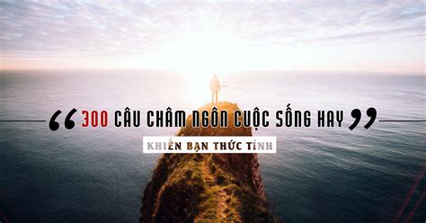 Tổng Hợp 100 ảnh Về Câu Nói Hay Về Phong Cảnh Vn