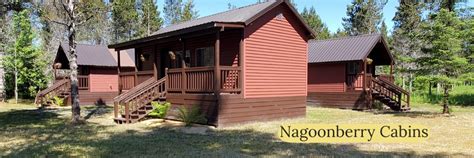 Nagoonberry Cabins Gustavus Visitor Association