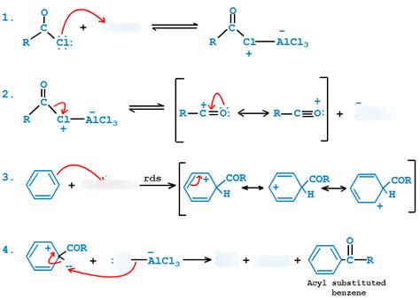 Acylation Diagram Quizlet