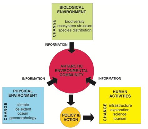 Chart Showing The Interconnectivity Of Biological Environments Download Scientific Diagram