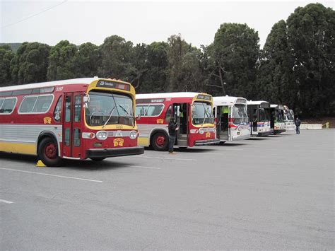 Bus Roadeo Lineup Photograph By Douglas Griggs Fine Art America