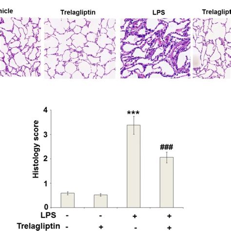 The Effects Of Trelagliptin On Mpo Activity And Pulmonary Edema In Lps