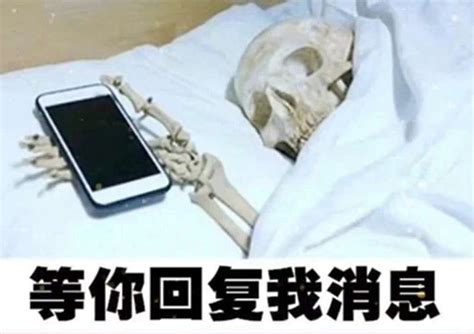 表情包 等你回复我消息